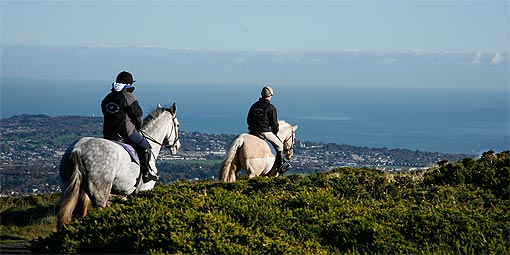 Ride-outs - Horse Riding Centre Dublin, riding lessons, livery, horses ...